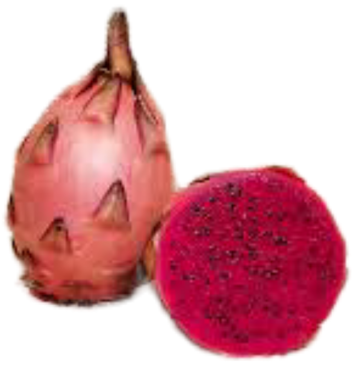 Tricia From Edgar Valdivia Plant Red Flesh – Wallace Ranch Dragon Fruit